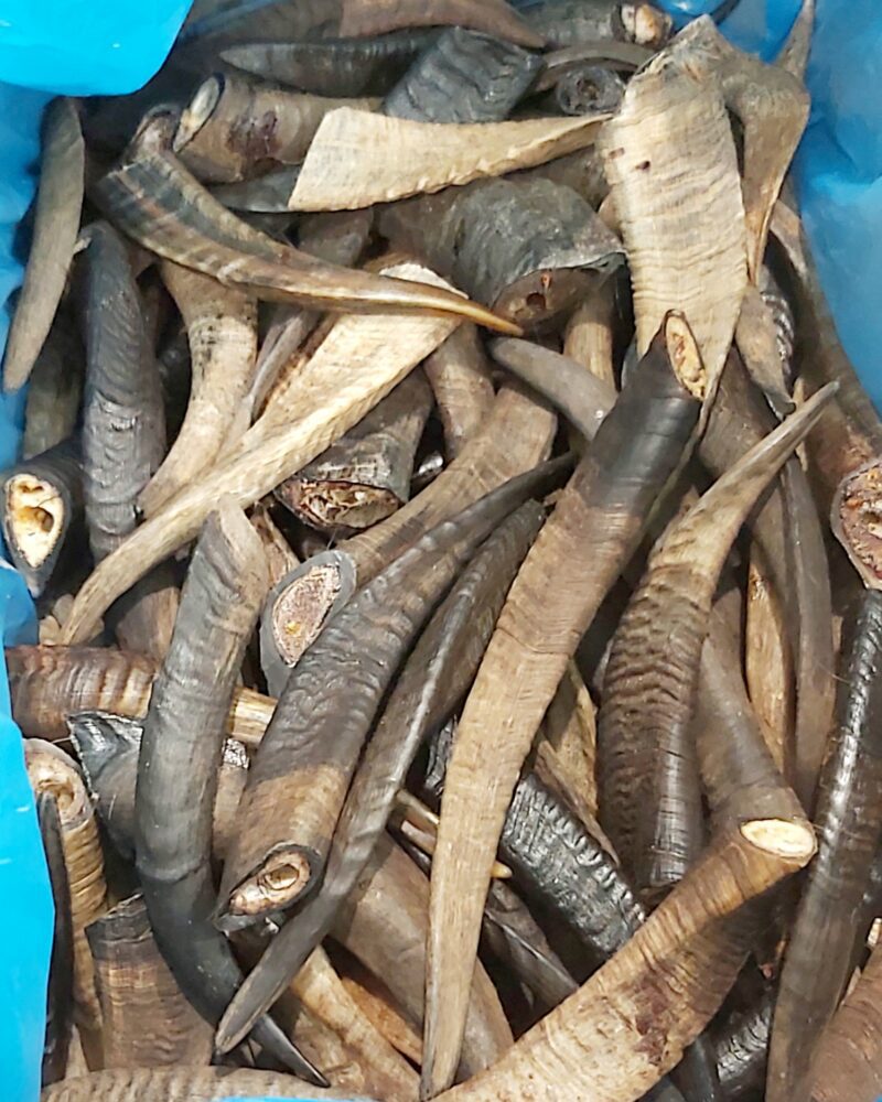 Goat – BDPS Wholesale