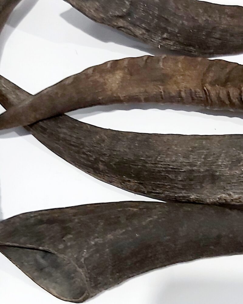 Goat – BDPS Wholesale